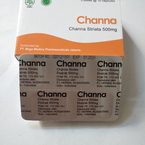 Jual channa striata, kapsul albumin, 500mg ekstrak ikan gabus jual ...