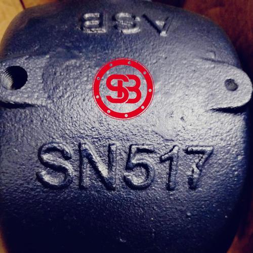 Jual PLUMMER BLOCK / BEARING HOUSINGN SN517 / SN 517 ASB - Kota ...