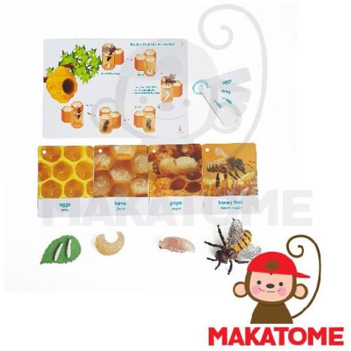 Jual Life Cycle Figurine Siklus Hidup - Bee figurin lebah - Kota ...