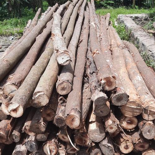 Jual dolken kayu proyek - Kab. Bogor - langgeng jaya kayu | Tokopedia