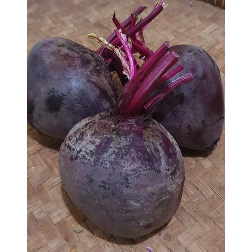 Jual Buah Bit 1kg / Beetroot 1kg - Kota Tangerang Selatan - Livi Fresh | Tokopedia