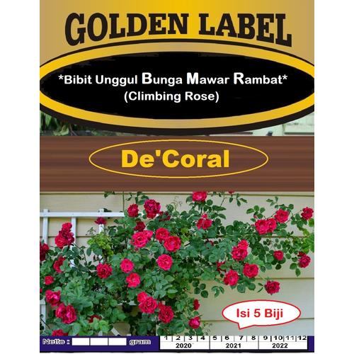 Jual Bibit Unggul Bunga Mawar Rambat Climbing Rose|Benih Bunga Mawar ...