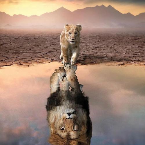 Jual lukisan cetak singa raja hutan plus bingkai ukuran 65×45 - Kab ...