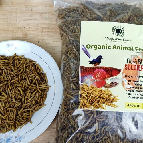 Jual Maggot kering 500 gram Grade AA - Kota Tangerang - Maggot Alam ...