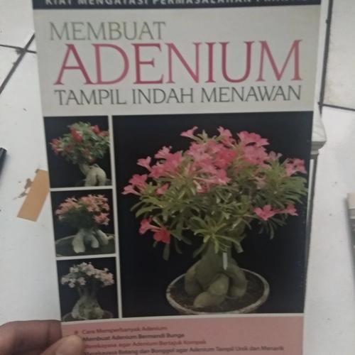 Jual membuat adenium tampil indah menawan - Kota Bogor - banyugmex ...