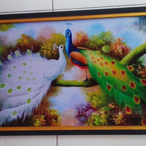 Jual lukisan cetak sepasang merak plus bingkai ukuran 65×45 - Putih ...