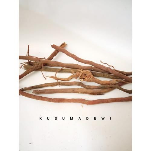 Jual Akar aren 500 gram - Kota Yogyakarta - Kusuma Dewi Jogja | Tokopedia