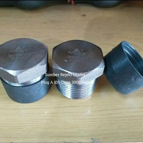 Jual Plug / Dop Besi A 105 Class 3000 Drat 1/2" inch NPT - Jakarta ...