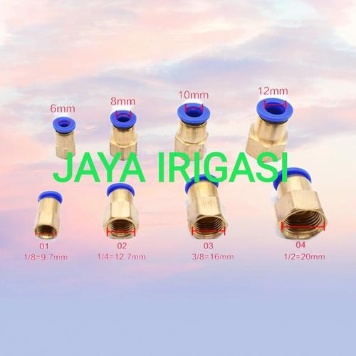 Jual FITTING PNEUMATIC 1/8 1/4 3/8 1/2 FEMALE PUSH IN KE SELANG PU 6 MM ...