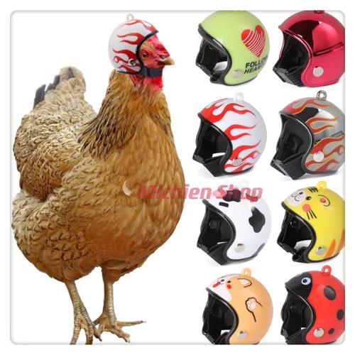 Jual Topi Helm Alat Pelindung Hewan Peliharaan Pelindung Hujan Matahari ...