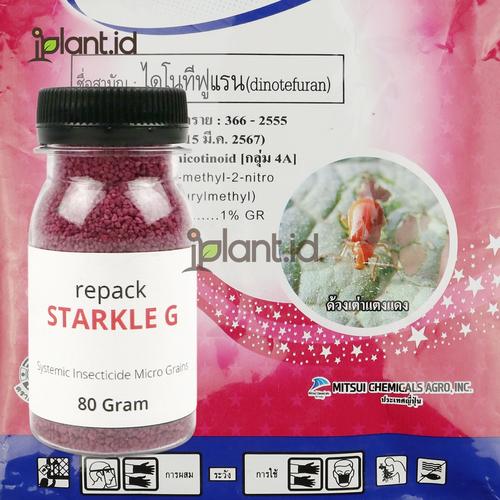 Jual Original Starkle G Thailand Insektisida Anti Kutu 80 gr - Kota ...