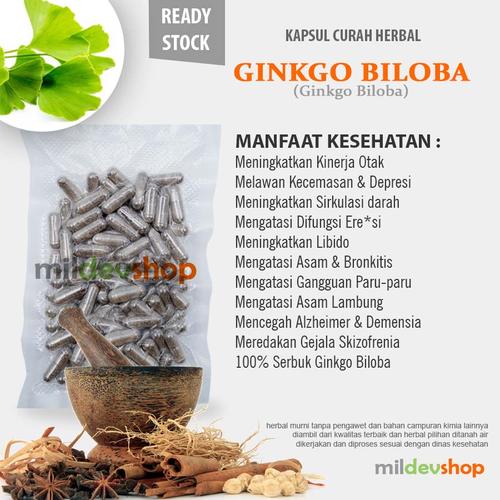 Promo GINKGO BILOBA 100 Kapsul Curah Herbal Libido Anti Aging Kinerja ...