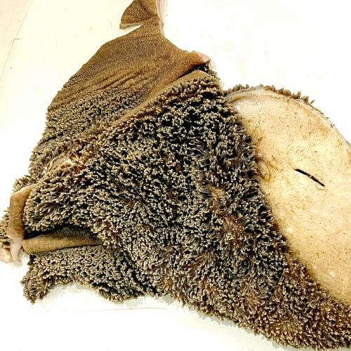 Jual Babat Sapi Hitam 1kg - 1/2 kg, Plastik PE - 1/2 kg, Plastik PE ...