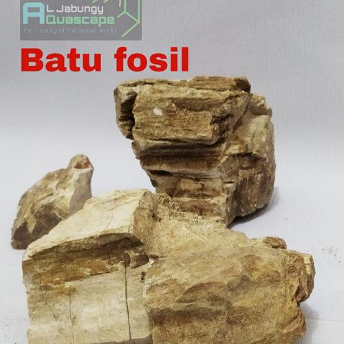 Jual batu fosil aquascape 1 kg - Jakarta Utara - Al jabungy aquascape ...