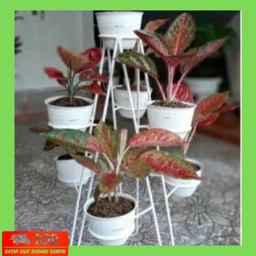 Jual Rak Pot Hiasan Tanaman Standing Pot 7 Lubang Bahan Besi Hiasan Pot ...