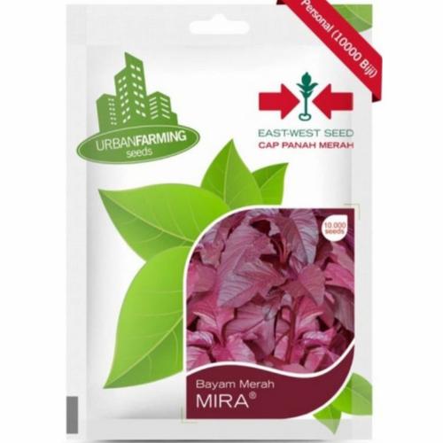 Jual Benih bayam merah Mira panah Merah 10.000 seeds / bibit - curah ...