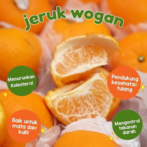 Jual JERUK WOGAN WOKKAM JERUK MANDARIN MANIS SEGAR 500gram - Jakarta ...