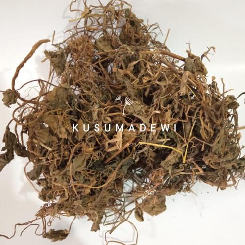Jual Daun Centella asiatica / Pegagan 500 gram - Kota Yogyakarta ...