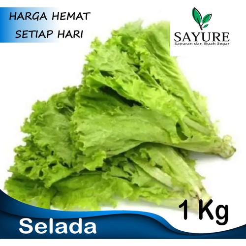 Jual SELADA KERITING SEGAR 1 KG - Kota Bekasi - Sayure01 | Tokopedia