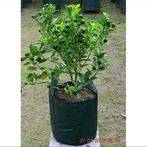 Jual Planter Bag 25 Liter / Pot Tanaman Tambulampot - Kota Bandung ...