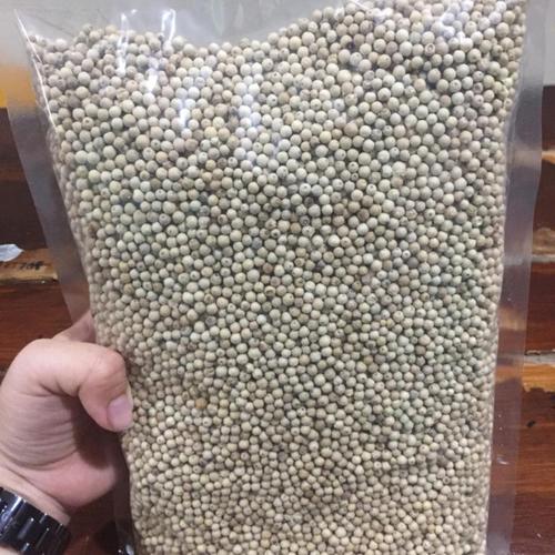 Jual LADA BIJI PUTIH ASLI BELITUNG kualitas PREMIUM - MERICA - SAHANG ...