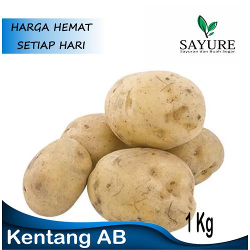 Jual KENTANG DIENG SUPER GRADE AB 1 KG - Kota Bekasi - Sayure01 | Tokopedia