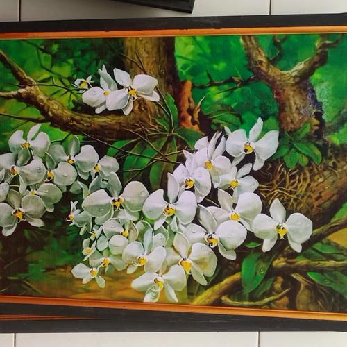 Jual lukisan cetak bunga anggrek bulan plus bingkai ukuran 65×45 - Kab ...