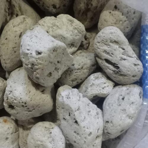 Jual pumice batu apung filter - Kab. Bogor - D'M Bagus Aquatic | Tokopedia