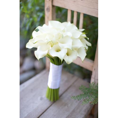 Jual bunga Calla Lily 5 tangkai warna sampul bisa direquest dan note ...