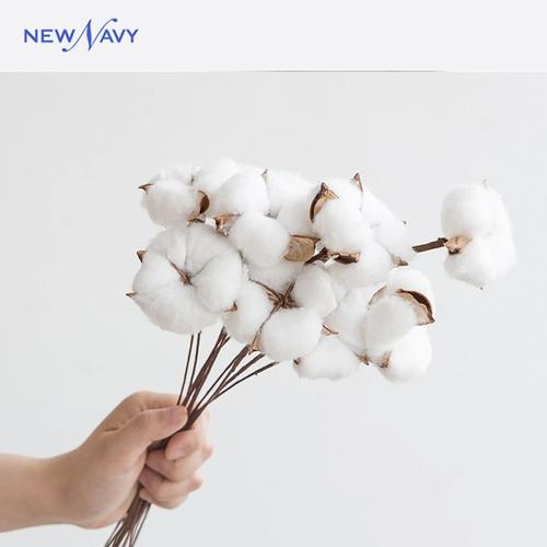 Jual Bunga Kapas Artifical / Cotton Flower / Bunga Kering / Dried ...