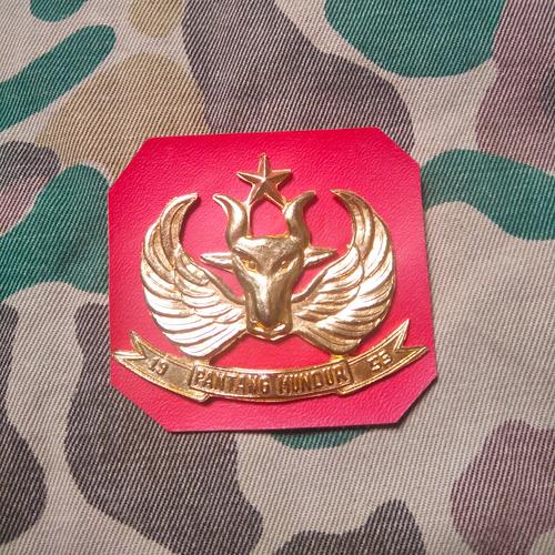 Jual Emblem Baret Jadul Banteng Raider Koleksi Militer Impresi ...