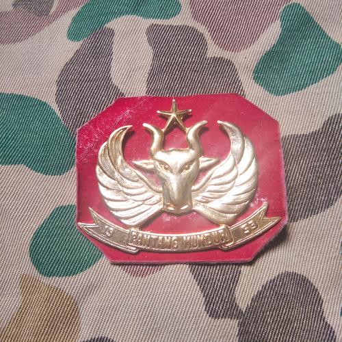 Jual Banteng Raider Emblem Baret Tentara Lawas Koleksi Militer ...