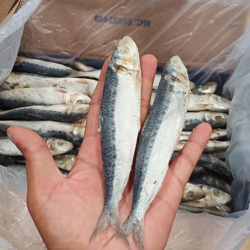 Jual Ikan Asin Japuh Siro 1 Kg Fresh - Jakarta Barat - Sayuran Malam ...