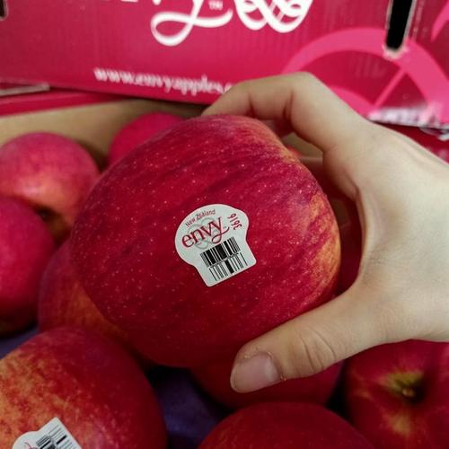 Jual BUAH APEL ENVY NZ/USA KECIL - Jakarta Barat - alfarizki buah ...