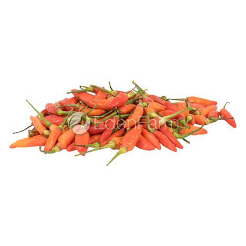 Jual Cabe Rawit Merah / Cabai Rawit Merah Segar 1/2 KG - 500 Gram ...