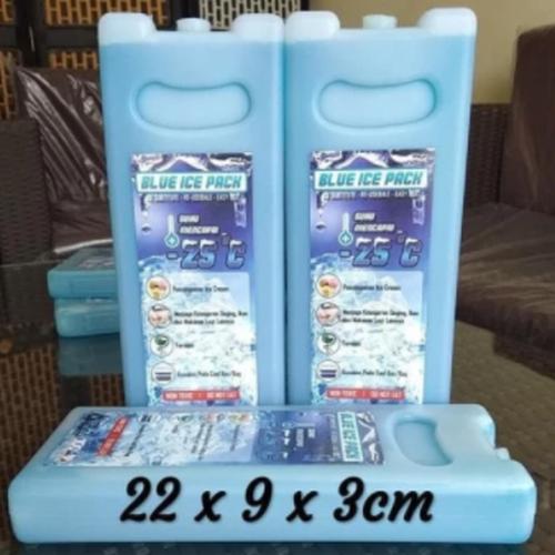 Jual Ice Pack Bata New Blue Icepack Kotak Pengganti Dry Ice - Kota ...
