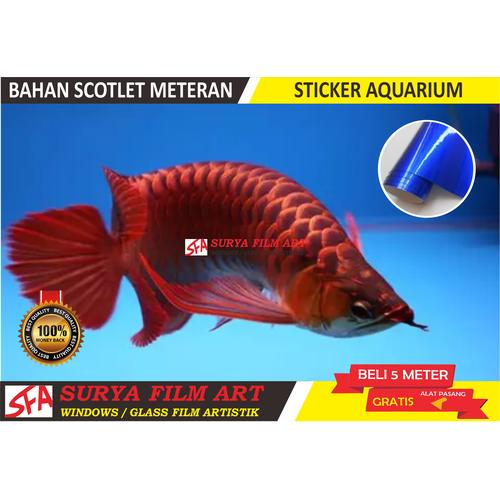 Jual stiker akuarium ikan predator/stiker aquarium - rakel alat - Kota ...