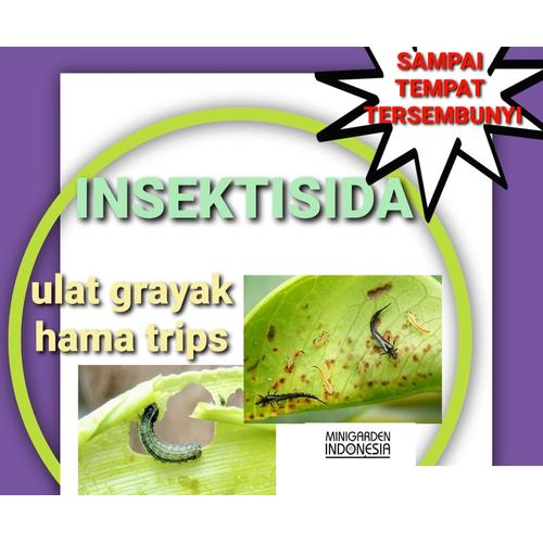 Jual INSEKTISIDA OBAT ULAT ampuh siap pakai pengendali hama trips ...