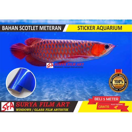 Jual Sticker Aquarium Ikan Predator/Stiker Aquarium Background - Kota ...