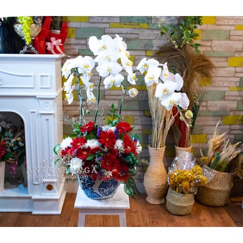 Jual Bunga Anggrek Bulan Pot Keramik Moon Orchid Flower Moth Ceramic ...
