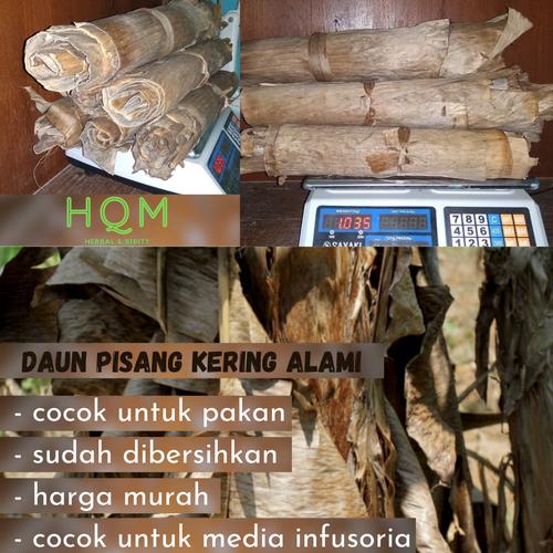 Jual 1kg daun pisang kering media infusoria - pakan burayak dan ...