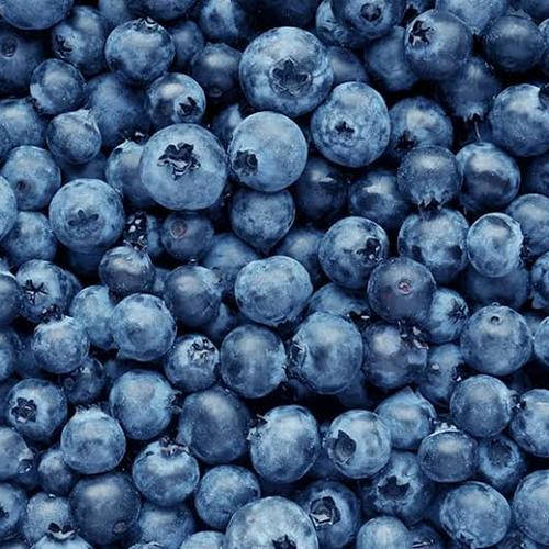 Jual Blueberry Frozen - Kota Denpasar - Bali Berjaya_NEW | Tokopedia
