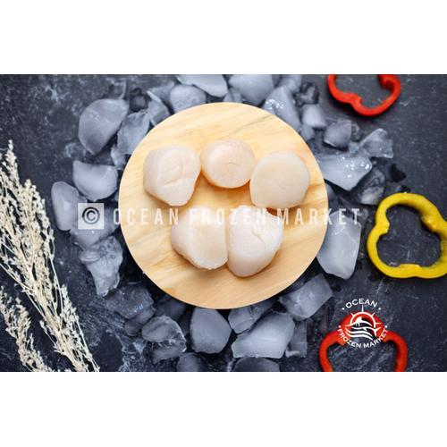Jual Frozen Hokkaido Scallop 250gr / pack Kerang Seafood - 1kg ...