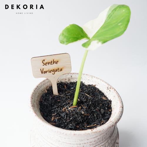 Jual Label Tanaman Kayu / Wood Plant Label / Plant Tag Kayu - S - Kab ...