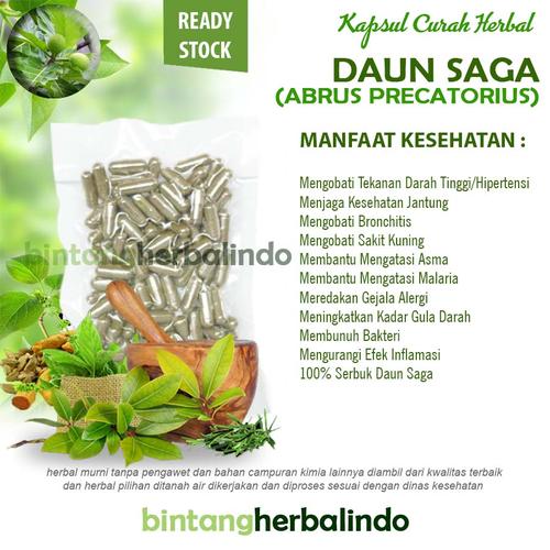Promo DAUN SAGA 100 Kapsul Herbal Asma Sakit Kuning Alergi Hipertensi ...