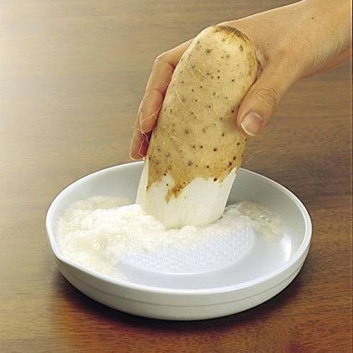 Jual Parutan wasabi keramik ceramic khas jepang grater ukuran jumbo ...