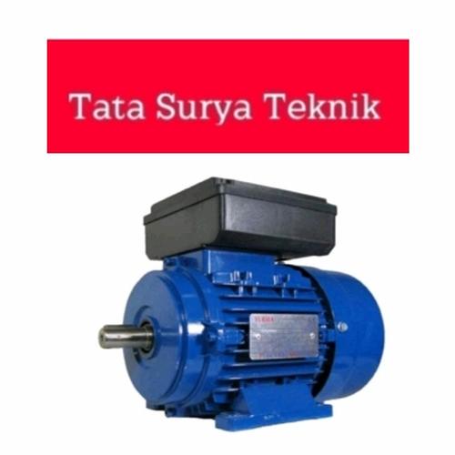 Jual Electric motor Yuema YAL 2P 2.2Kw 3HP 1Phase 220V B3 - Jakarta Utara - Tata Surya Teknik ...