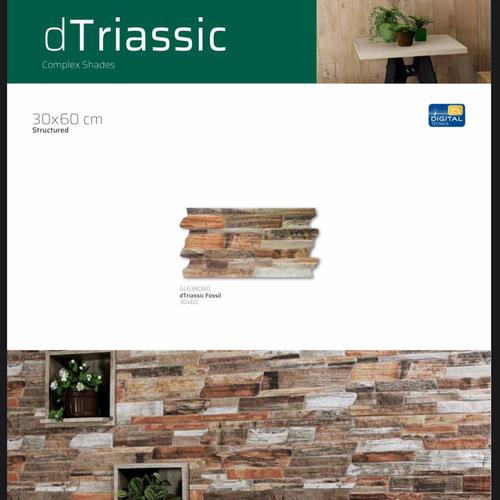 Jual ROMAN Keramik Interlok 30x60 dTriassic Fossil - Kota Bandung - TB ...