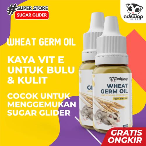 Jual Minyak Gandum / Wheat Germ Oil Vitamin Pelengkap Sugar Glider ...