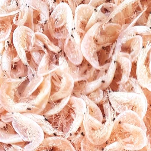Jual Udang Rebon Super 500 Gram - Kota Surabaya - AKUN DINONANTIFKAN ...